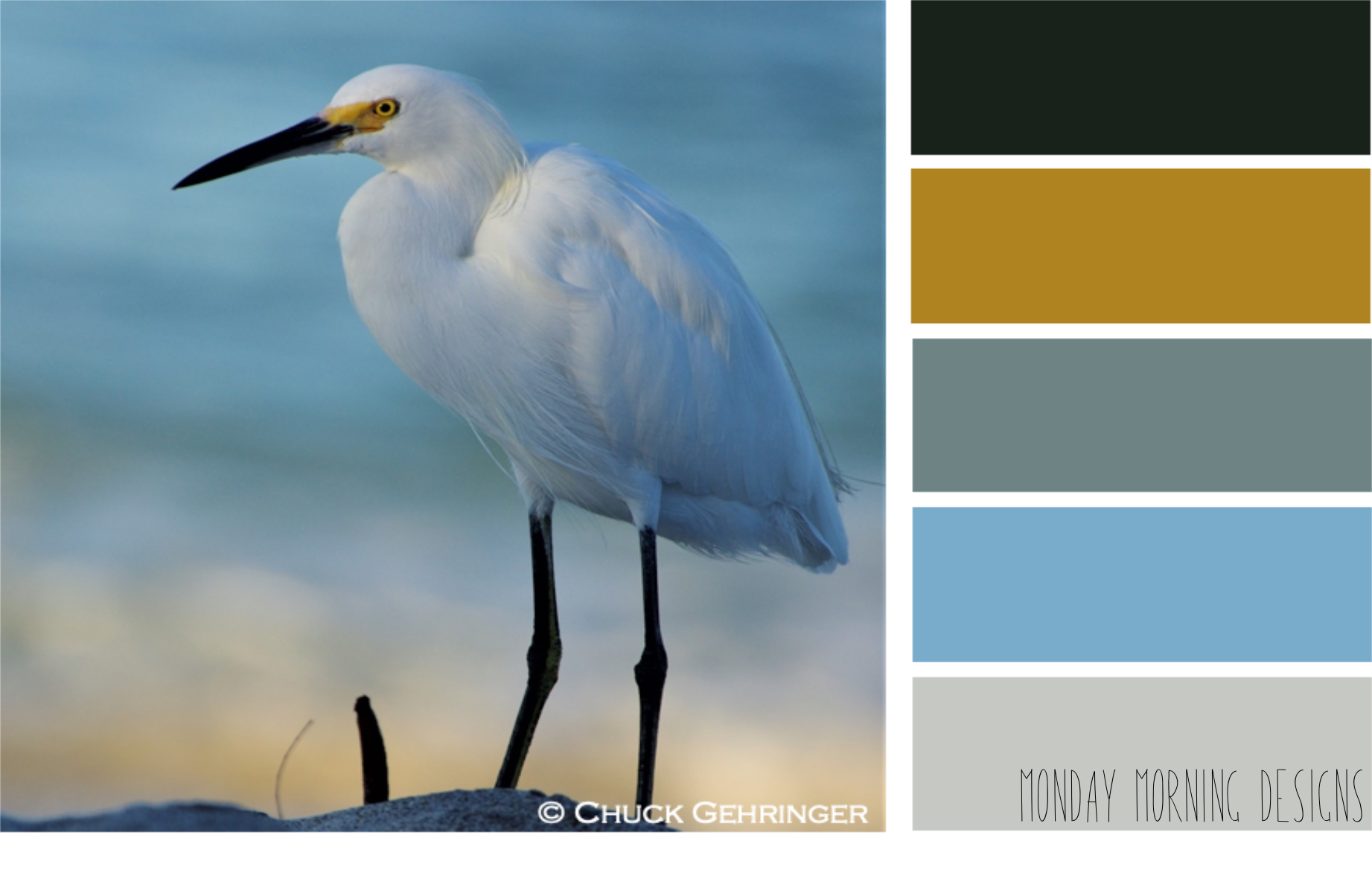 Color Gallery – Monday Morning Designs